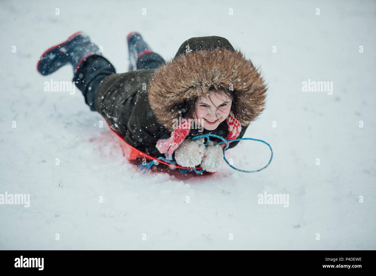 Little girl is lying on her belly on a sled, going down a big snowy ...