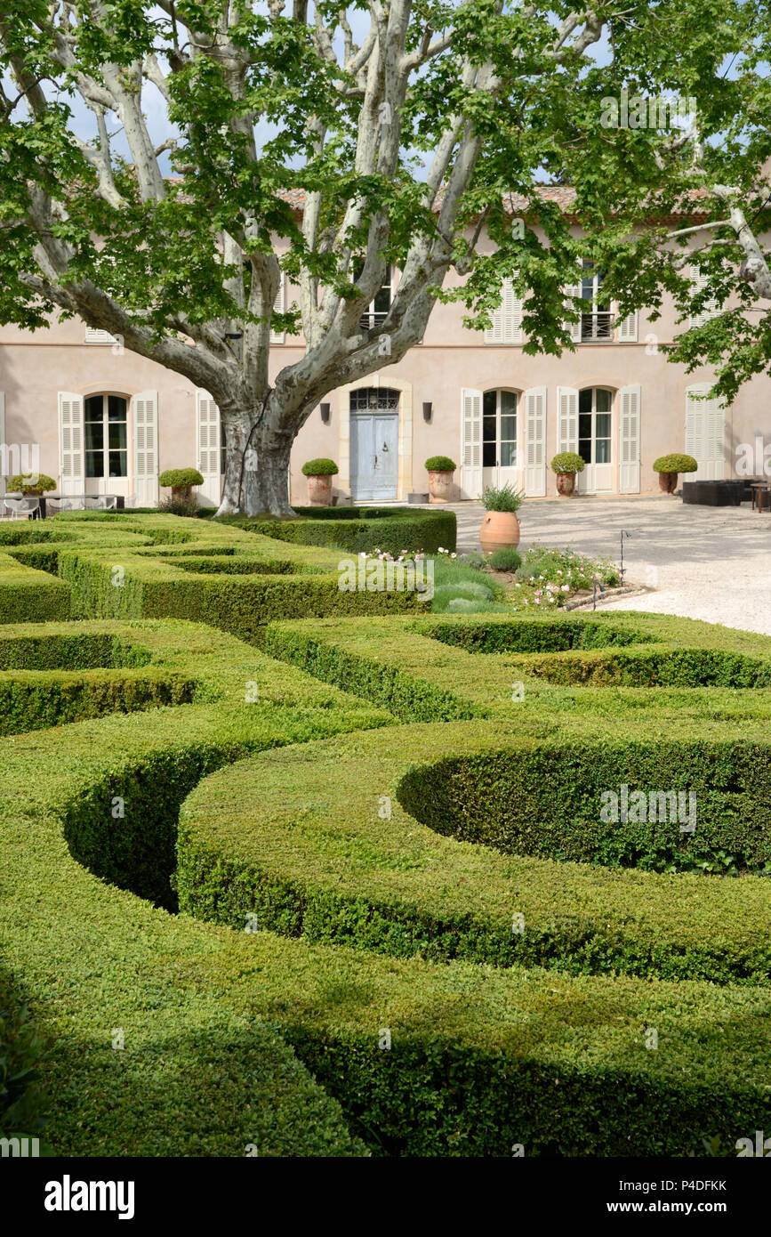 Clipped Boxwood Hedges or Topiary in the Formal French Garden at ...