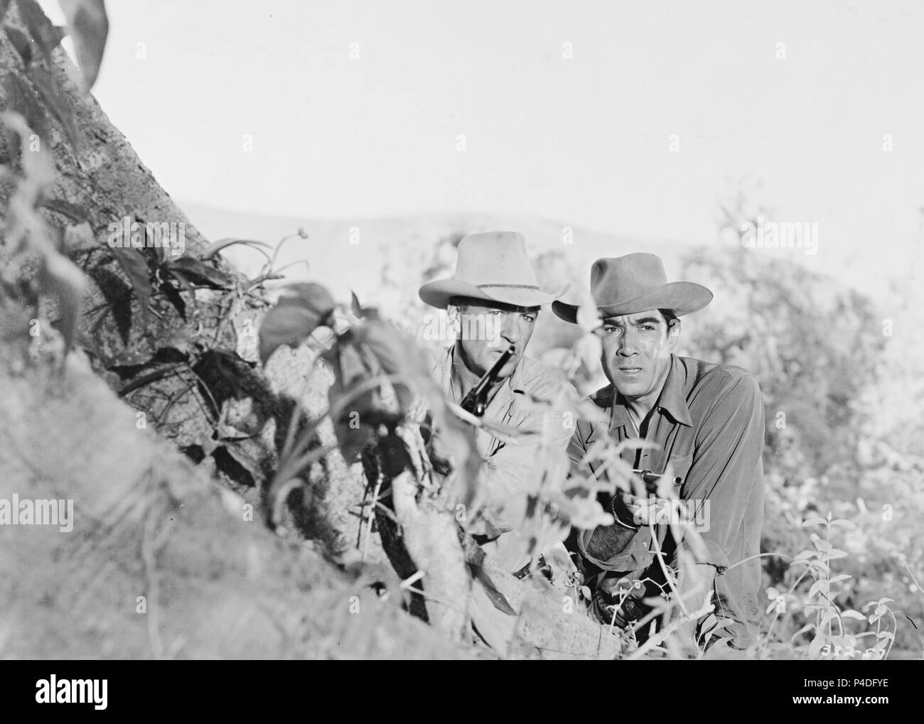 Original Film Title: BLOWING WILD. English Title: BLOWING WILD. Film ...