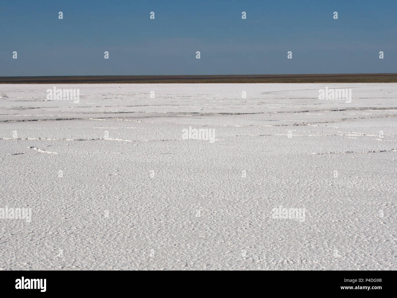 Saline salt lake elton hi-res stock photography and images - Alamy