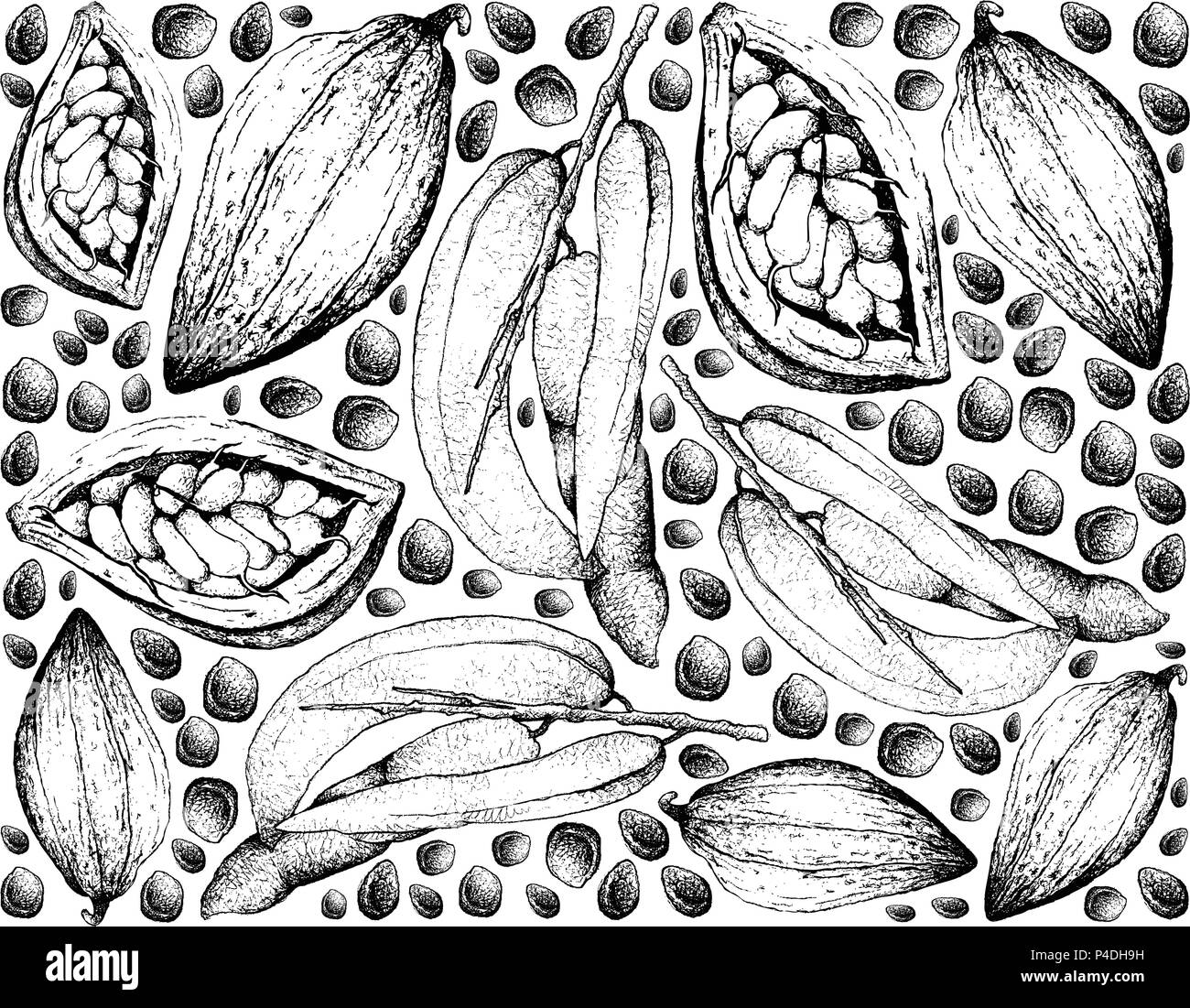 The man eating plant Black and White Stock Photos & Images - Alamy