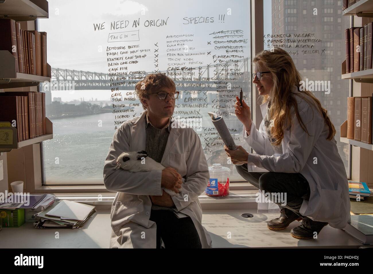 Original Film Title: I ORIGINS. English Title: I ORIGINS. Film Director ...