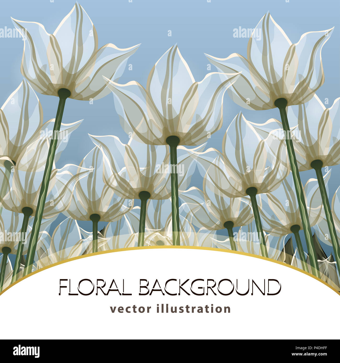 Abstract flowers bottom view, vector illustration, colorful drawing ...