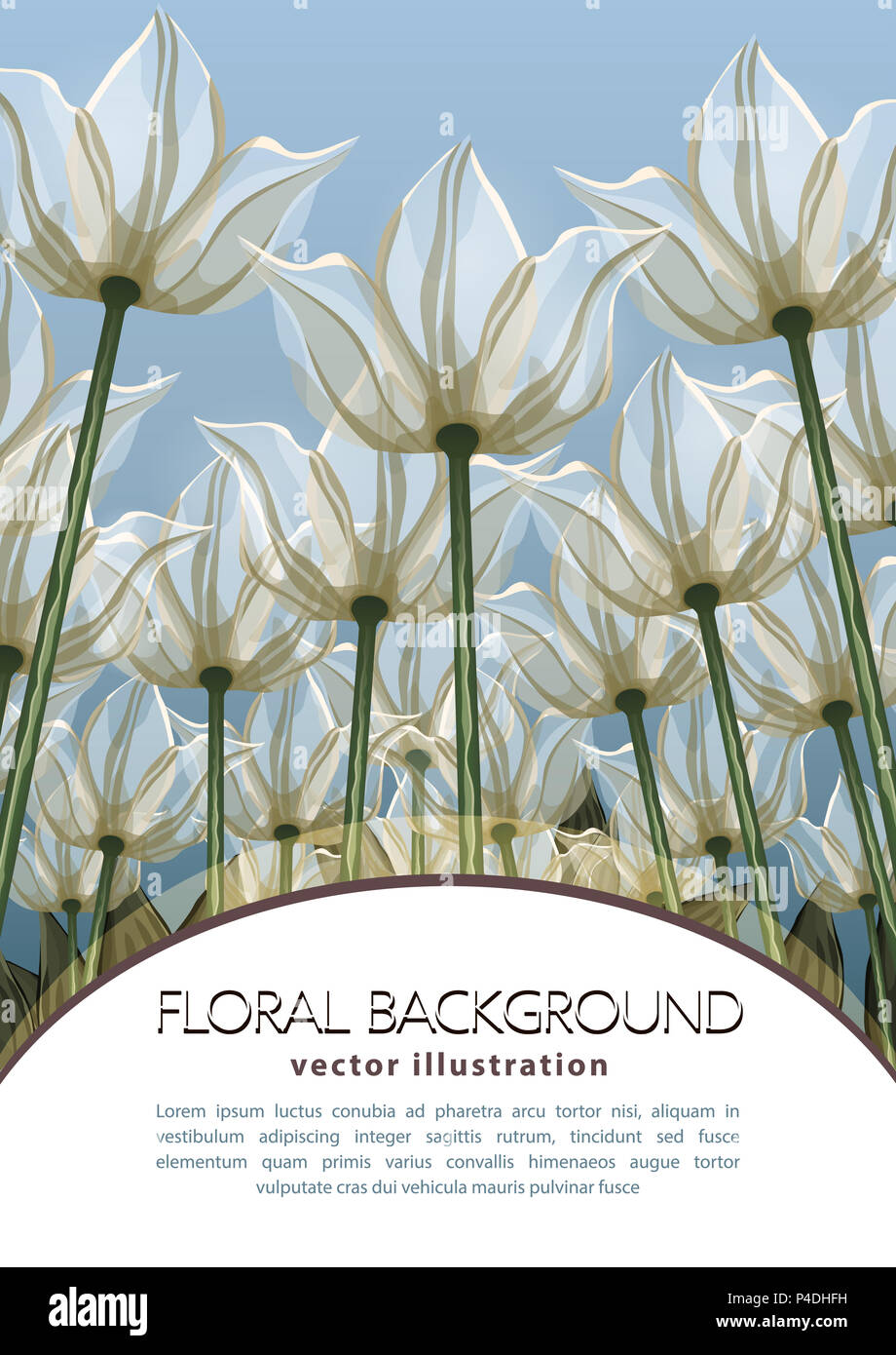 Abstract flowers bottom view, vector illustration, colorful drawing ...