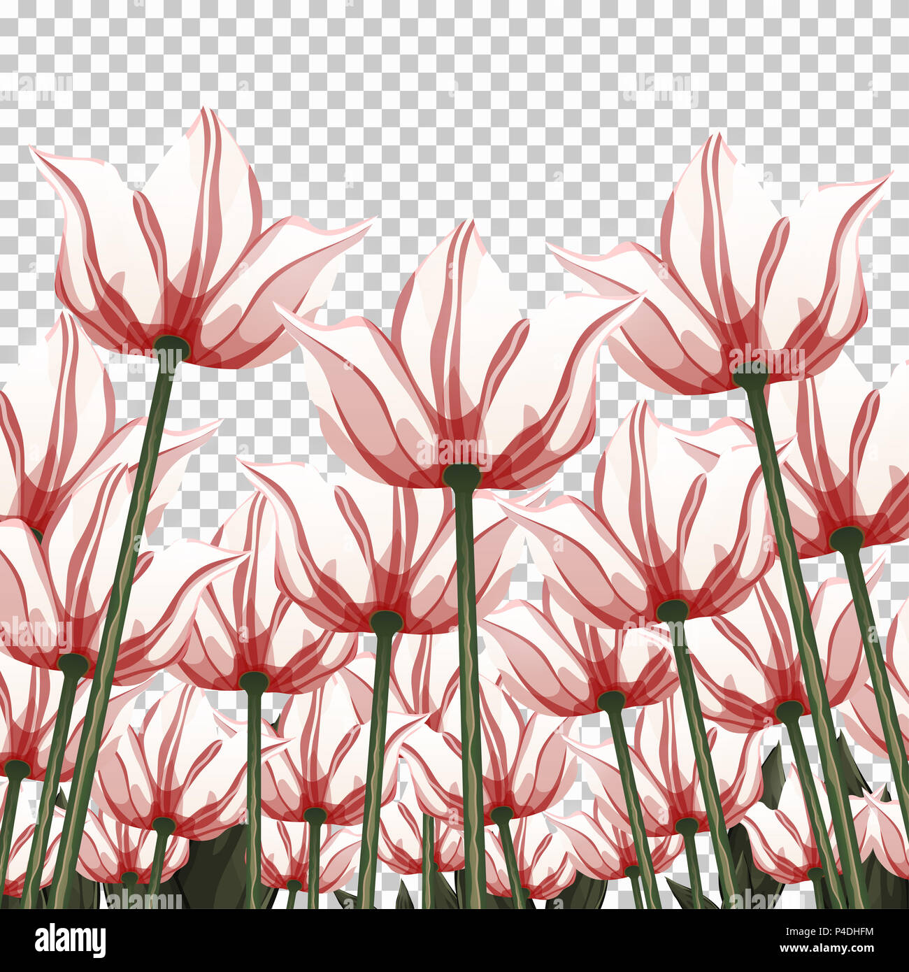 Abstract flowers, bottom view on a transparent backdrop, vector ...