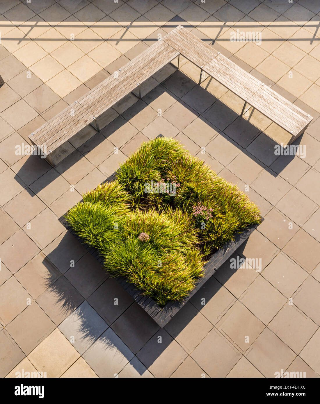 London. June 2018. A view of modern benches along the south bank in ...