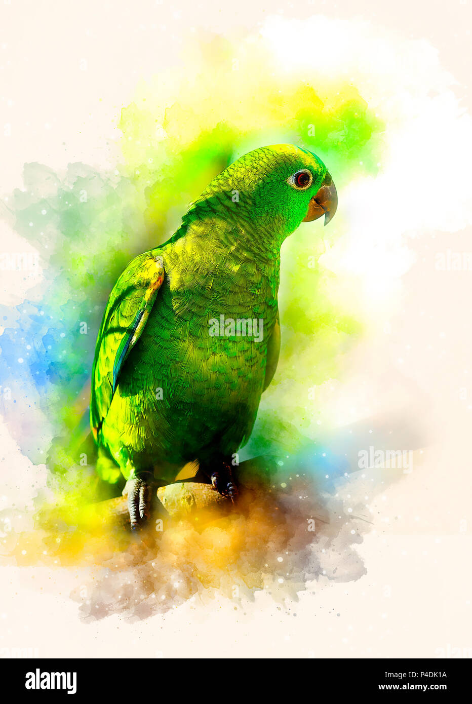 Emerald Green parrot and softly blurred watercolor background Stock ...
