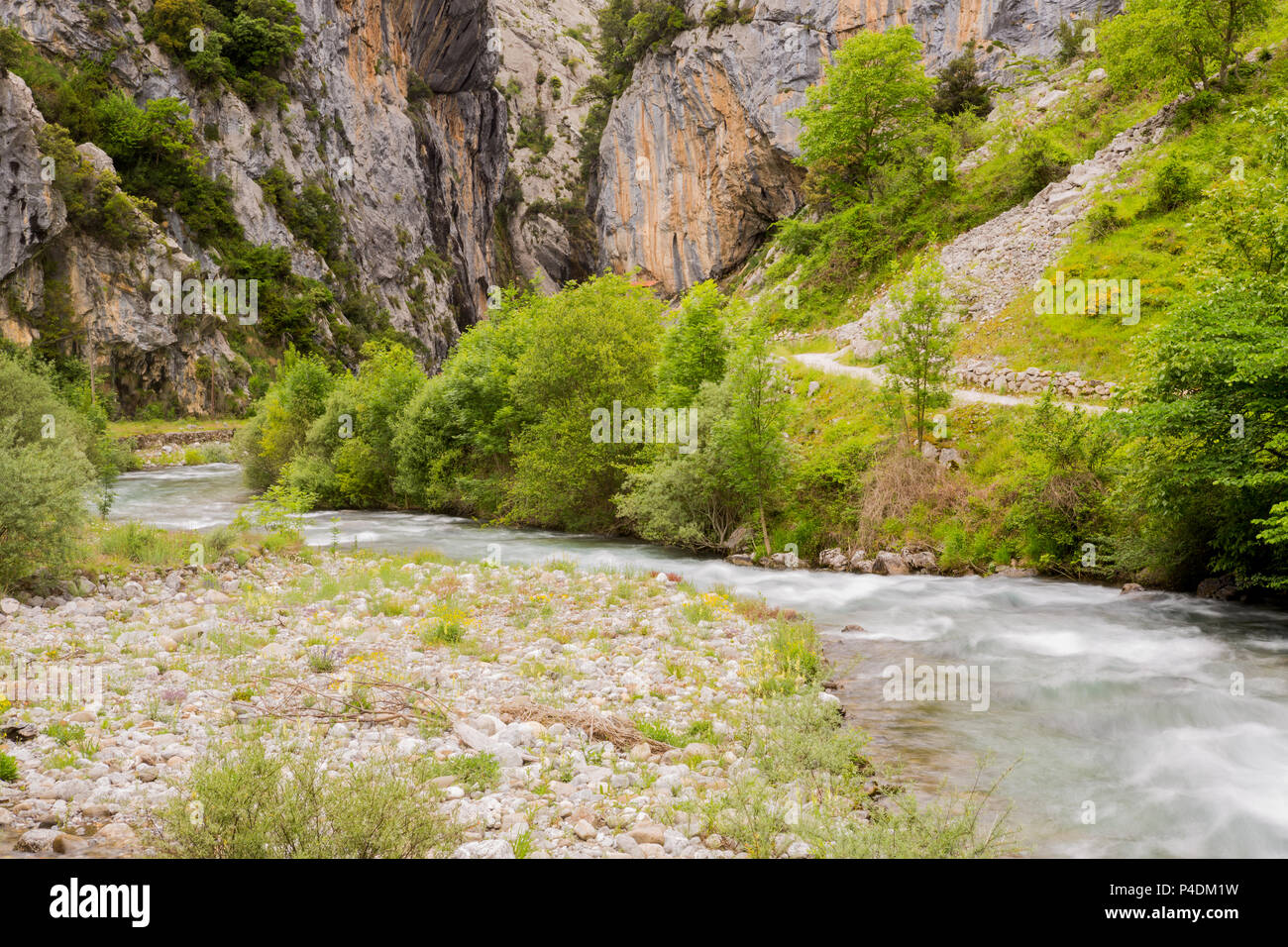 The Cares River ai Cain located in the Picos de Europa National Park ...