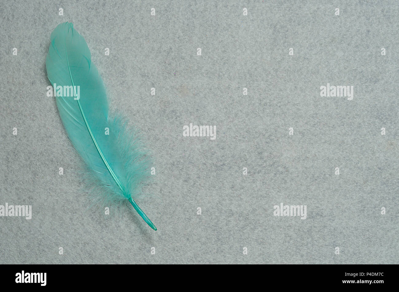 Light as feather hi-res stock photography and images - Alamy