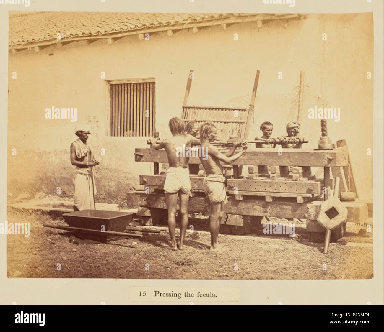 Fecula hi-res stock photography and images - Alamy