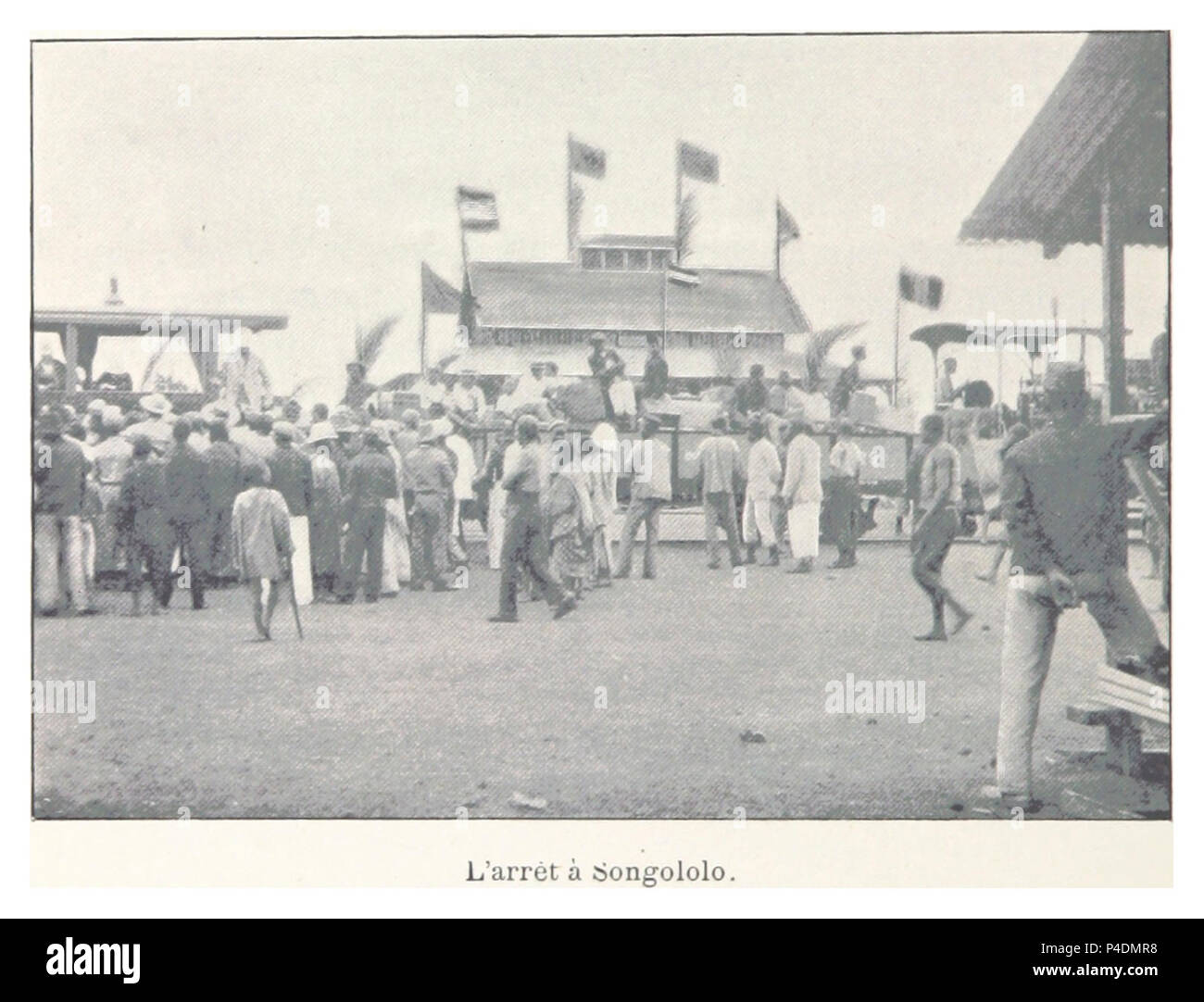 Songololo hi-res stock photography and images - Alamy