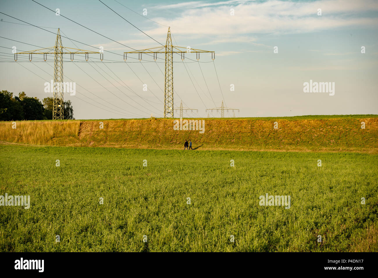 Power lines cross over a field at sunset Stock Photo - Alamy