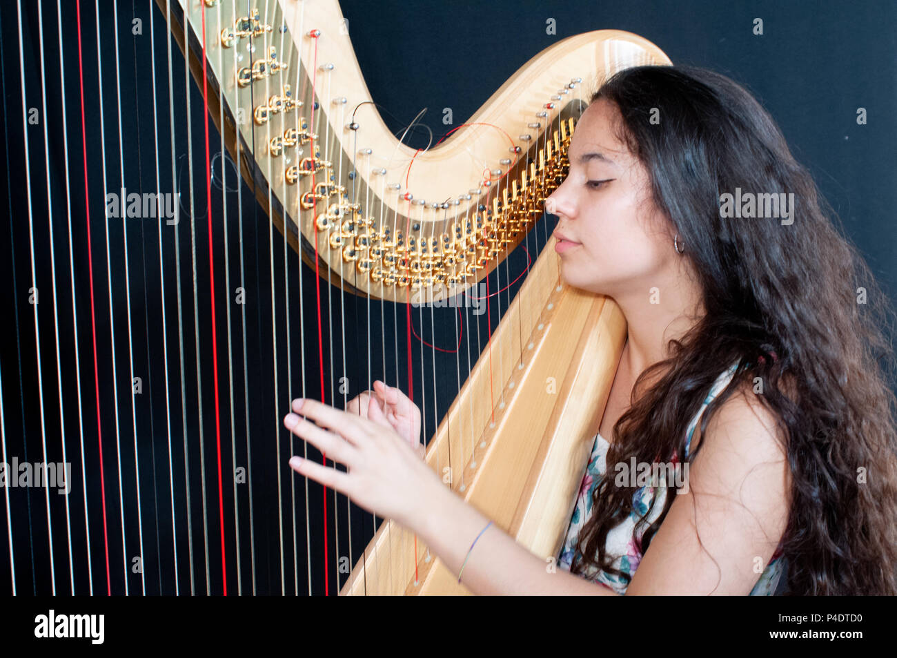 Female woman girl harpist harp playing hi-res stock photography and ...