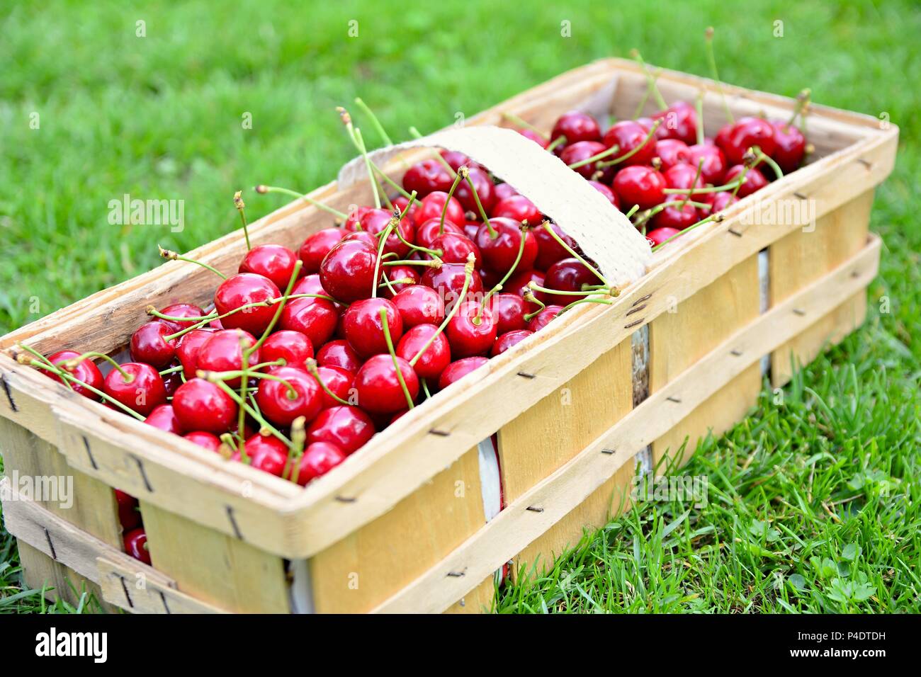 Ripe fresh cherries hi-res stock photography and images - Alamy