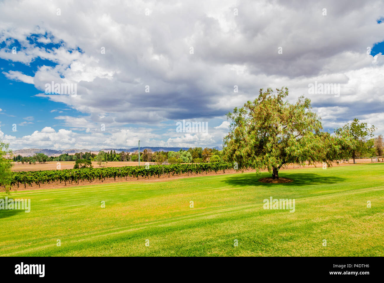 Two rivers wine hi-res stock photography and images - Alamy