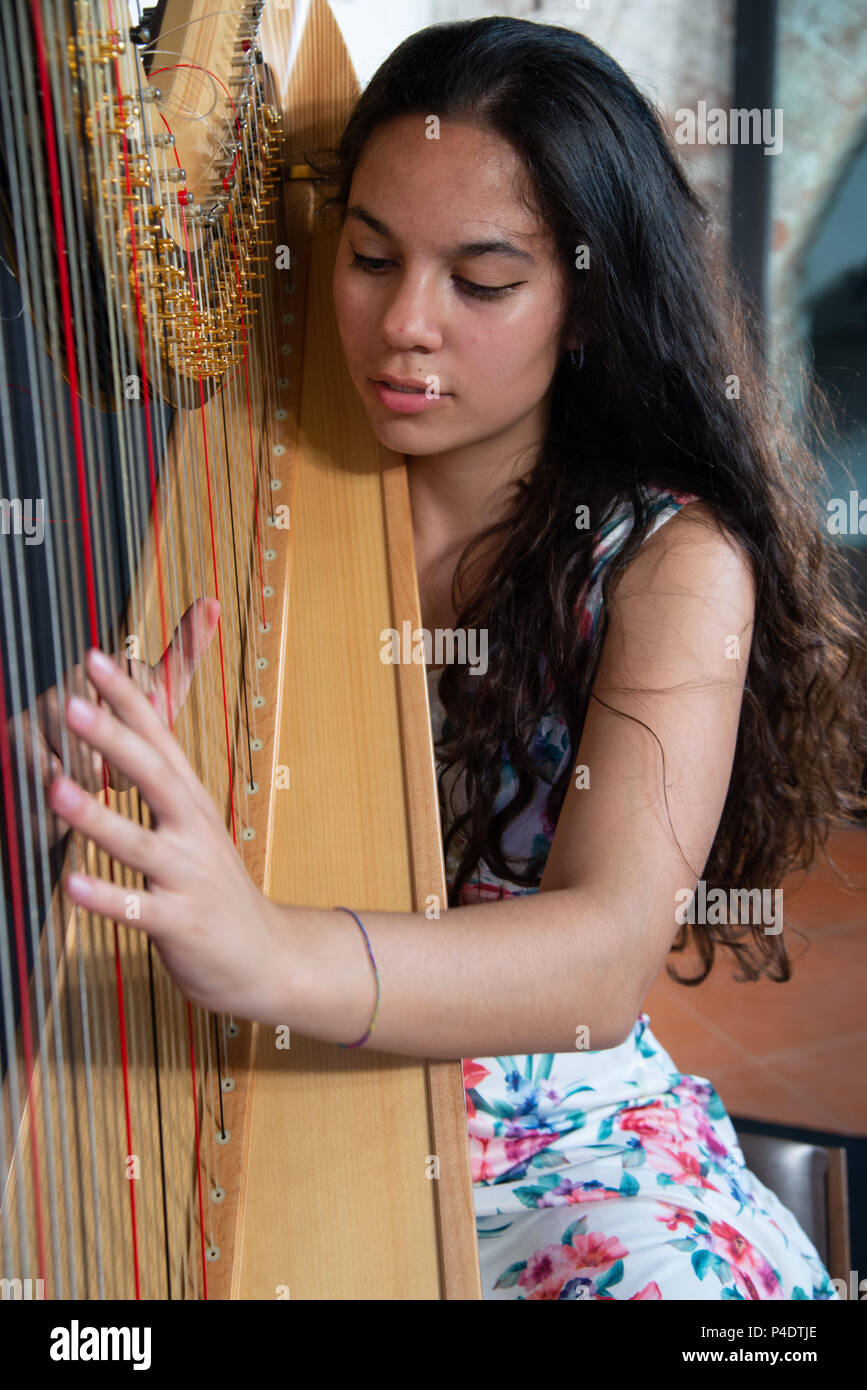 Female woman girl harpist harp playing hi-res stock photography and ...