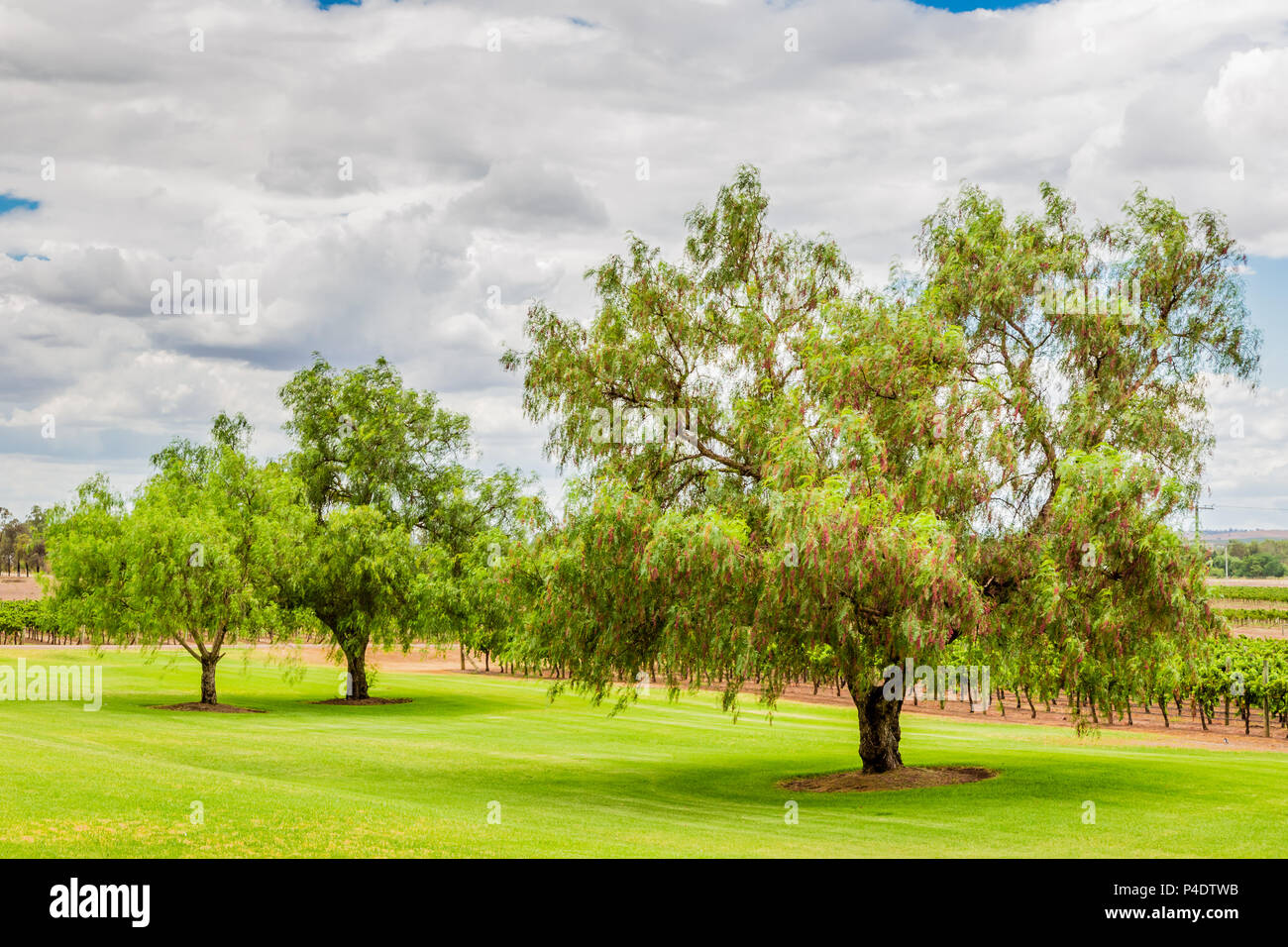 Nsw rivers hi-res stock photography and images - Alamy