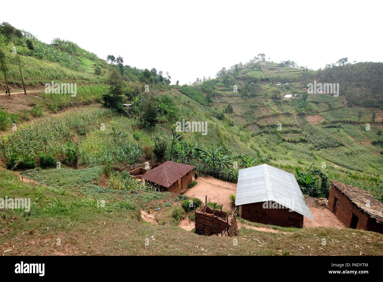 Rwanda, Burera lake, surrounding of Kidaho, landscape Stock Photo - Alamy