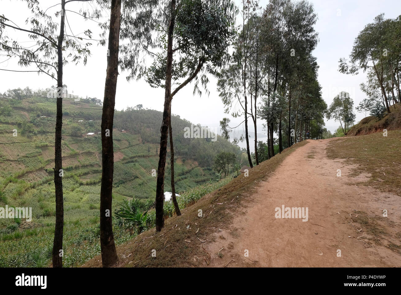 Rwanda, Burera lake, surrounding of Kidaho, landscape Stock Photo - Alamy
