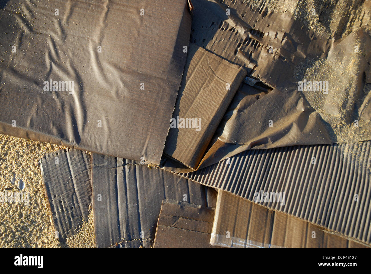 Negombo Beach, Oruwa, Colombo, Western Province, Sri Lanka, Asia Stock ...