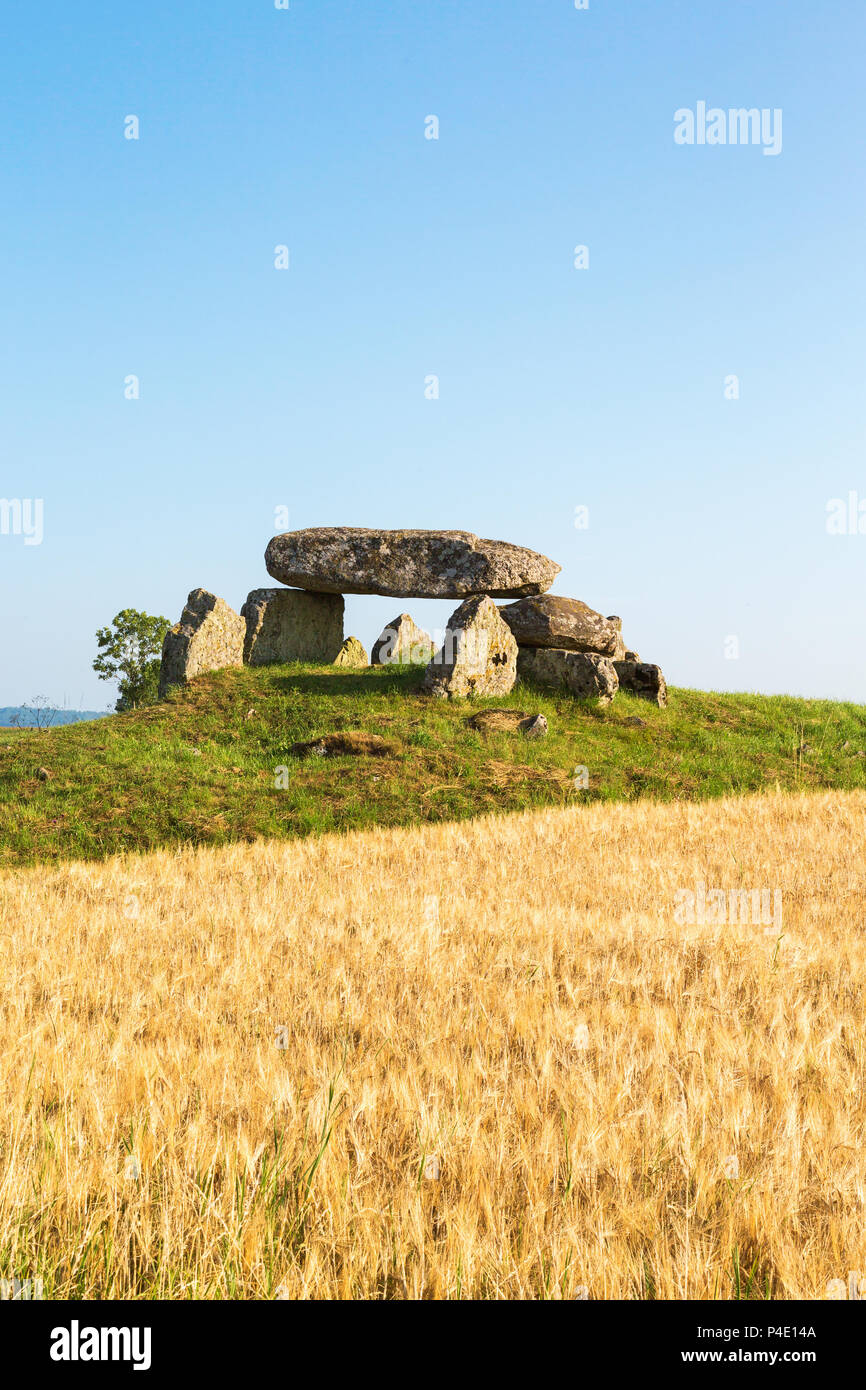 Megalith grave hi-res stock photography and images - Alamy