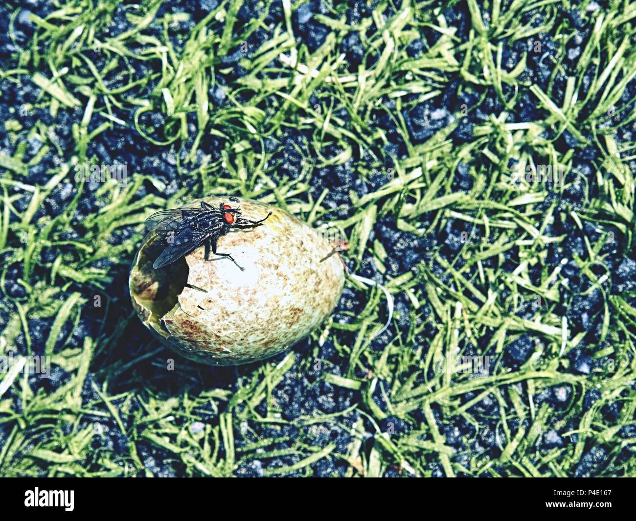 One small crack does not mean that you are broken hi-res stock ...