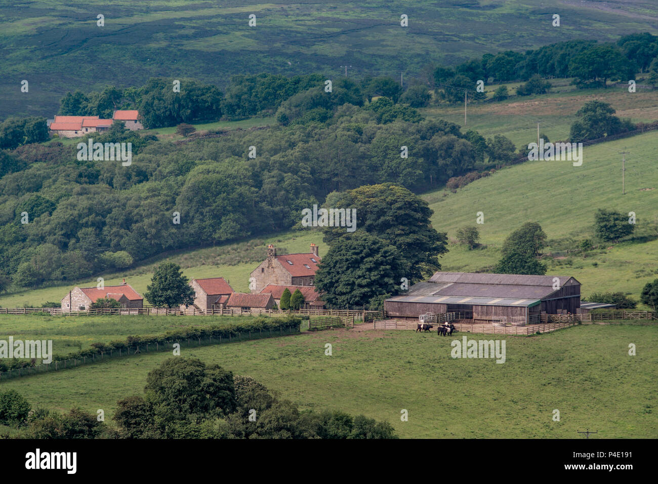 North Yorkshire moors. North east of England Stock Photo - Alamy