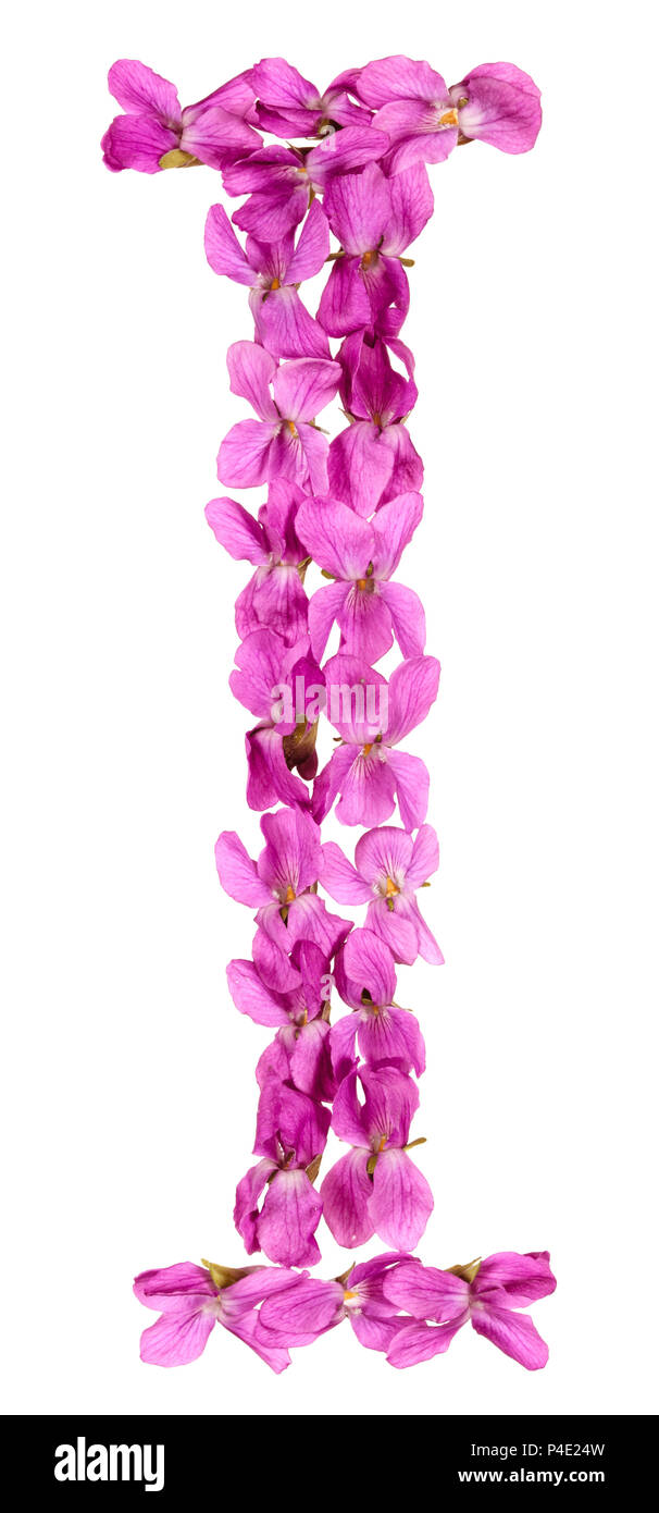 Letter I from alphabet, from flowers of violet, isolated on white ...