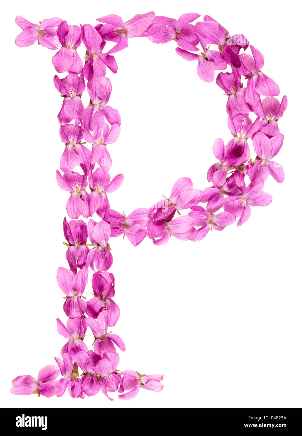 Letter P Flowers Stock Photos & Letter P Flowers Stock Images - Alamy