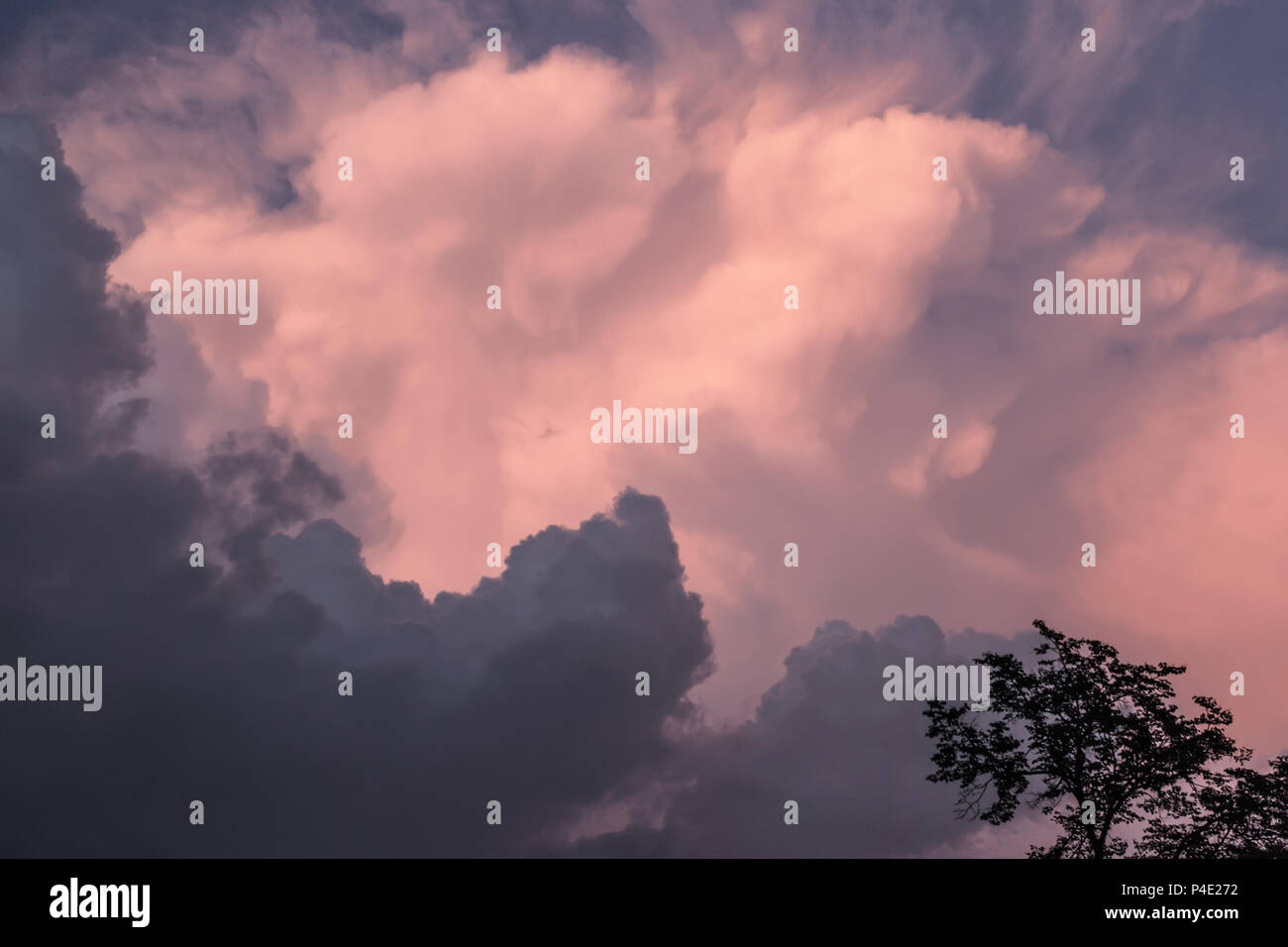 Great pink-grey storm sky for eternal emotions Stock Photo - Alamy