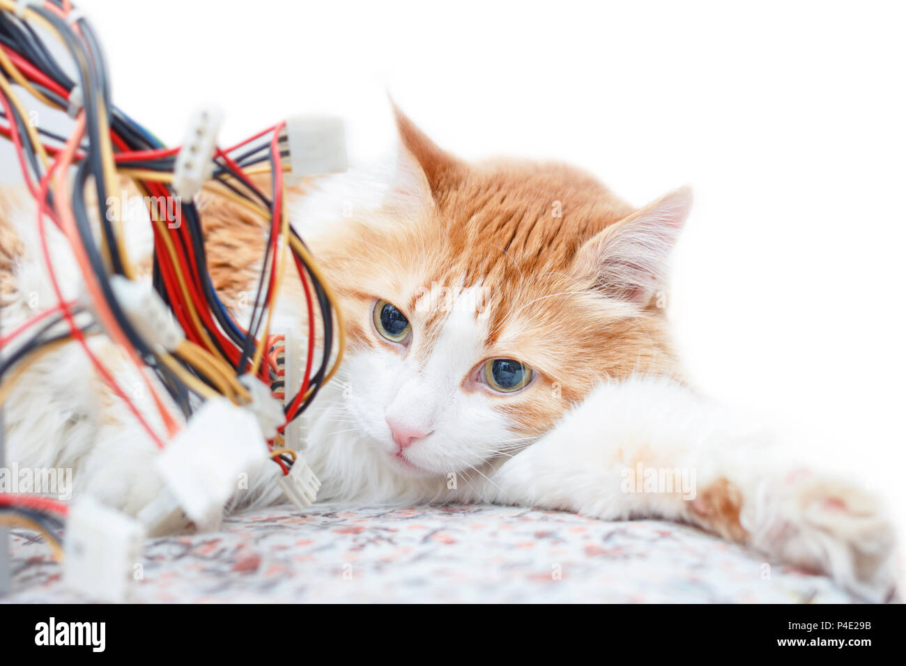 Digital wires hi-res stock photography and images - Alamy