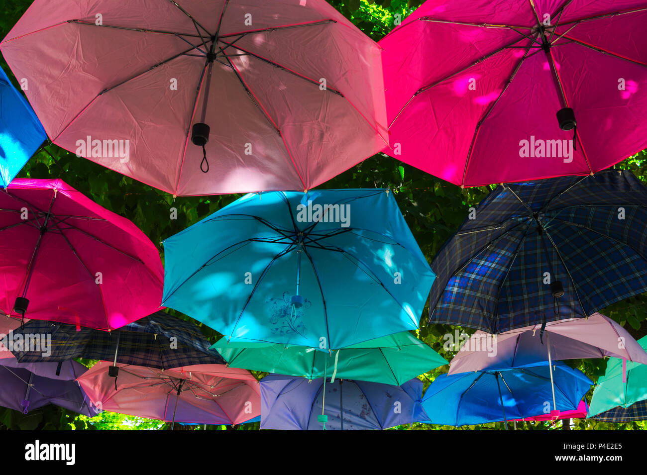 Colorful umbrellas hanging from trees in a pedestrian zone, Shkodra ...