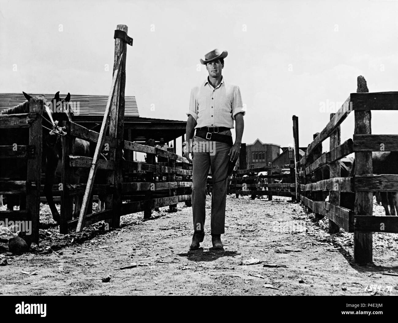 Original Film Title: THE LAST SUNSET. English Title: THE LAST SUNSET ... Original Film Title: THE LAST SUNSET. English Title: THE LAST SUNSET ...