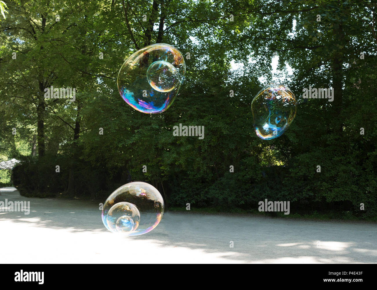 Amazing super large bubbles in park Stock Photo - Alamy