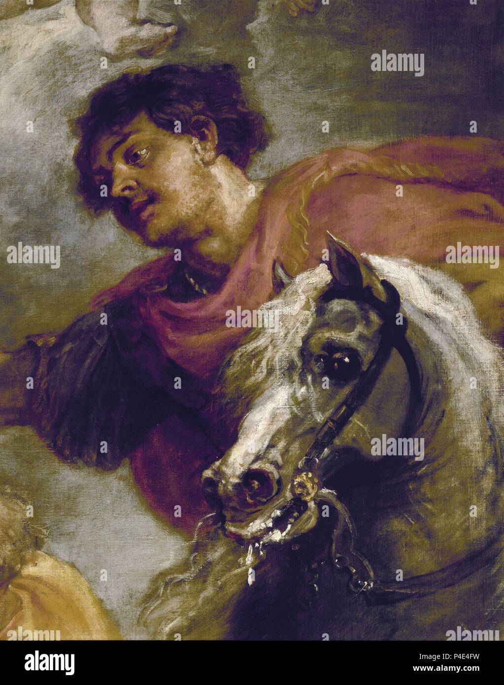 Amberes rubens hi-res stock photography and images - Alamy