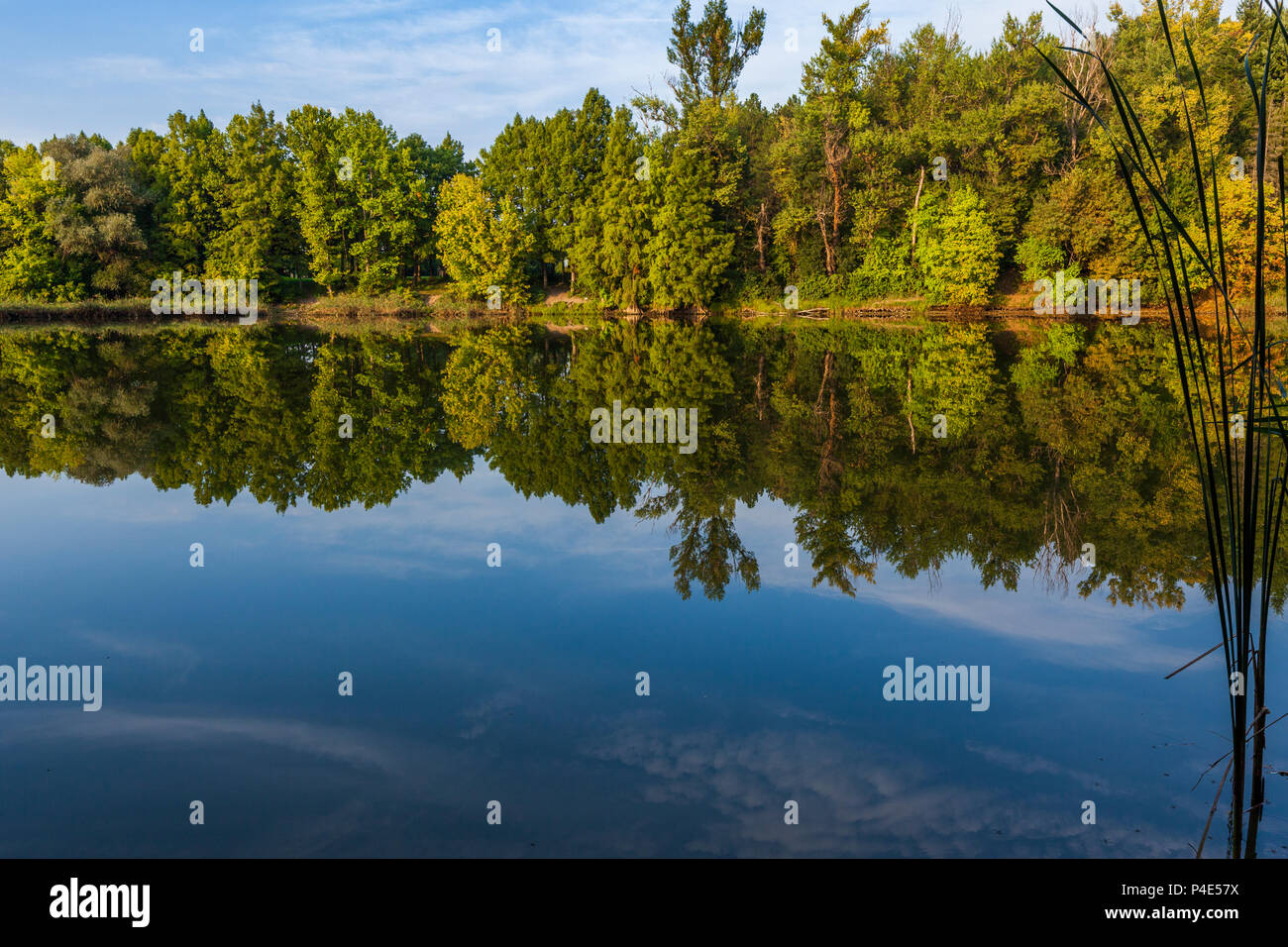 Landscape forest lake hi-res stock photography and images - Alamy
