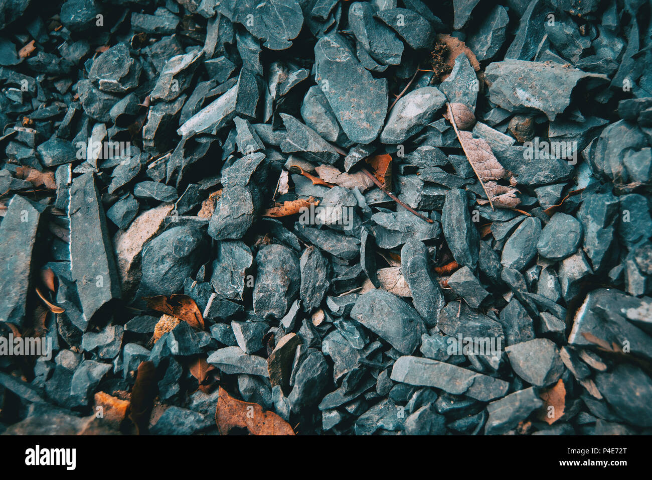 Forming Patterns High Resolution Stock Photography and Images - Alamy