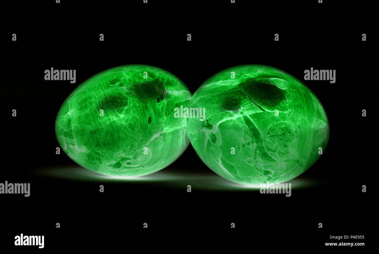 X ray eggs hi-res stock photography and images - Alamy