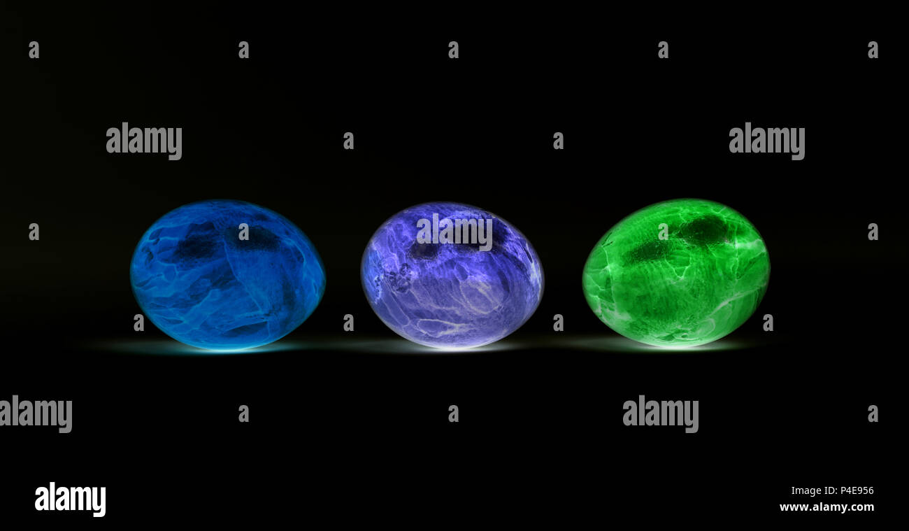 Painted eggs, easter - X-Ray - Isolated on a black background Stock ...