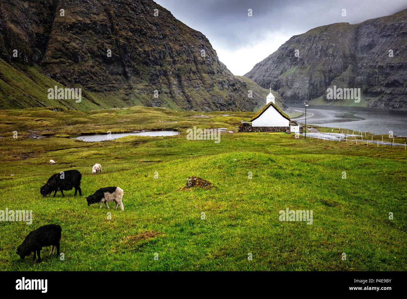 church in saksun faroe islands Stock Photo - Alamy