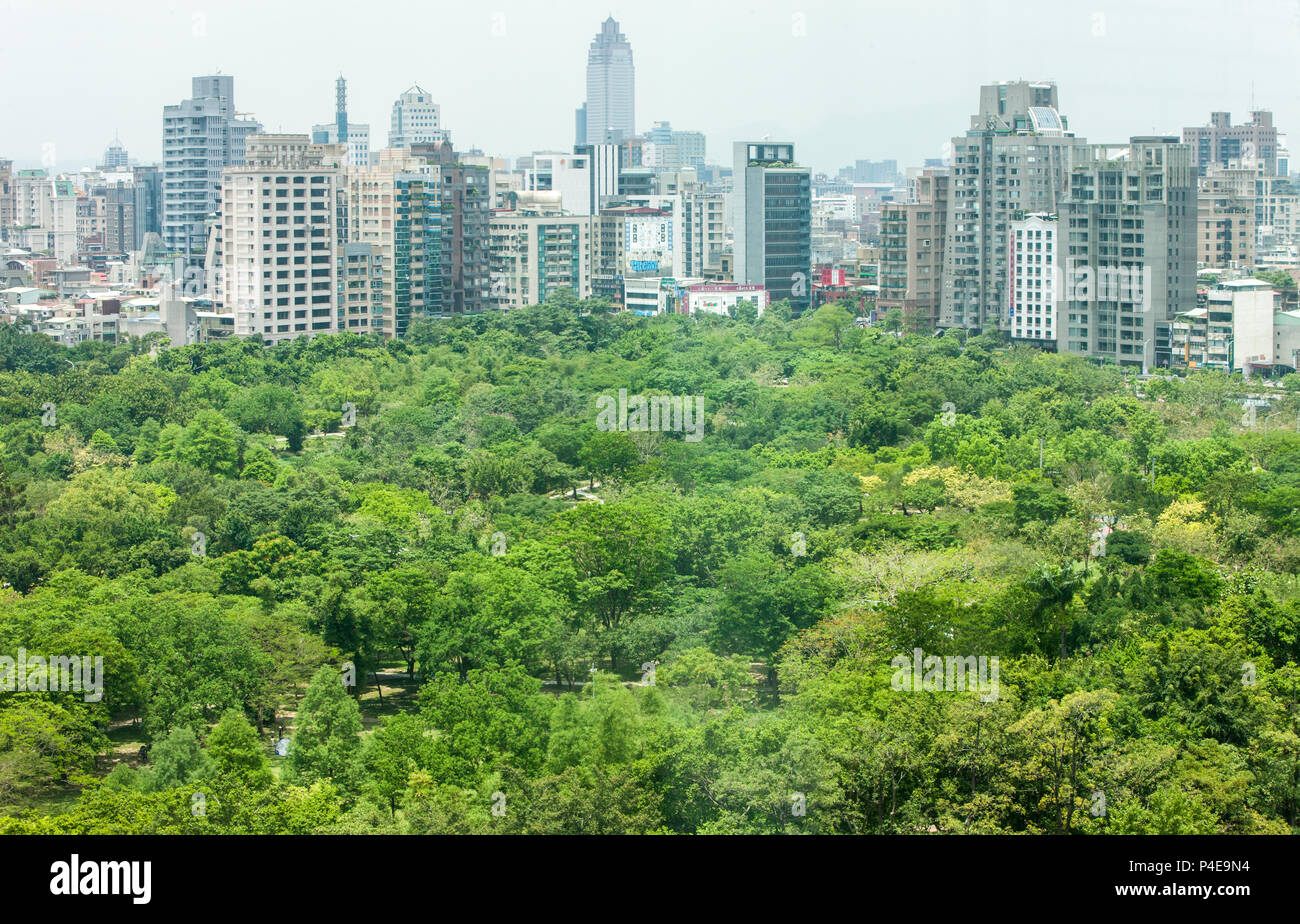 Daan,Park,green,space,urban,greenery,lungs,active,Taipei,Taipei City ...