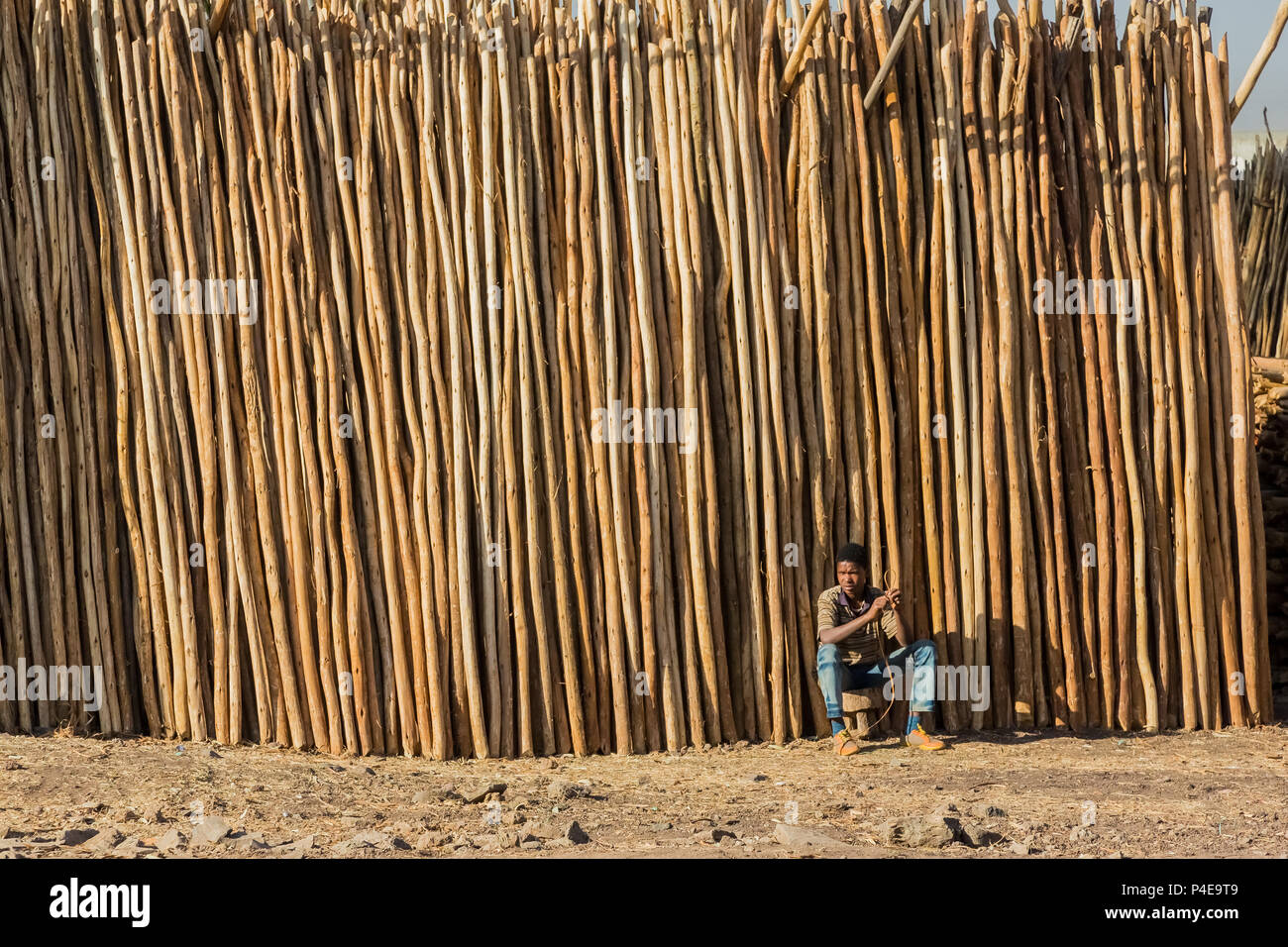 Addis Ababa, Ethiopia, January 30, 2014, African man sitting next to a ...