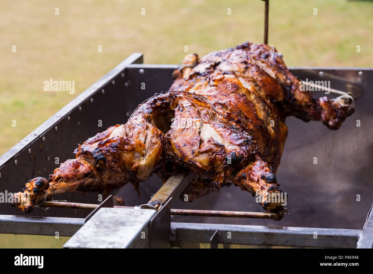 BBQ Cookout Lamb on the spit rotisserie or Spit Braai as it's known in ...