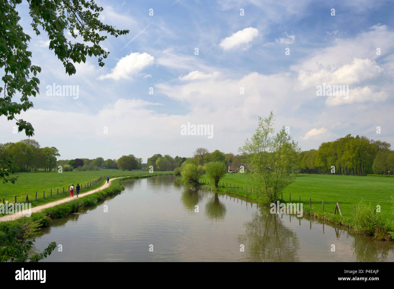 Typical Dutch landscape near Utrecht, Rhijnauwen, with river Kromme ...