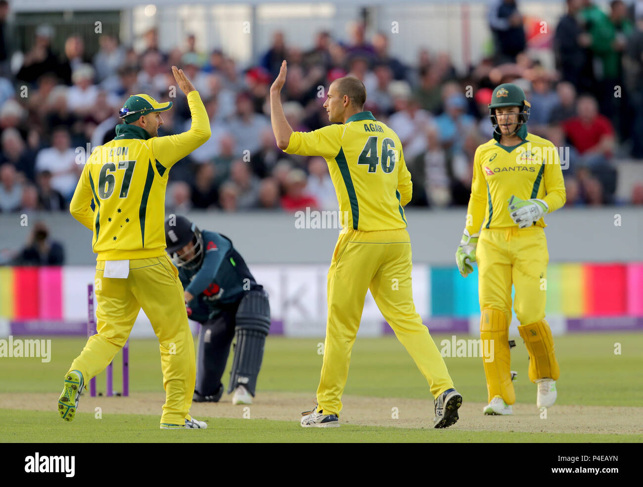 Australias ashton agar celebrates hi-res stock photography and images ...