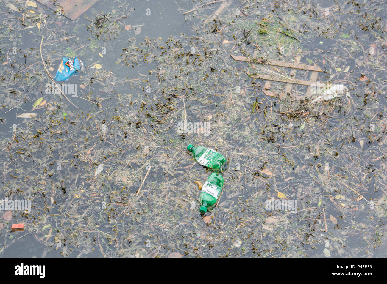 Empty plastic bottles floating in water. Plastic pollution in the river ...