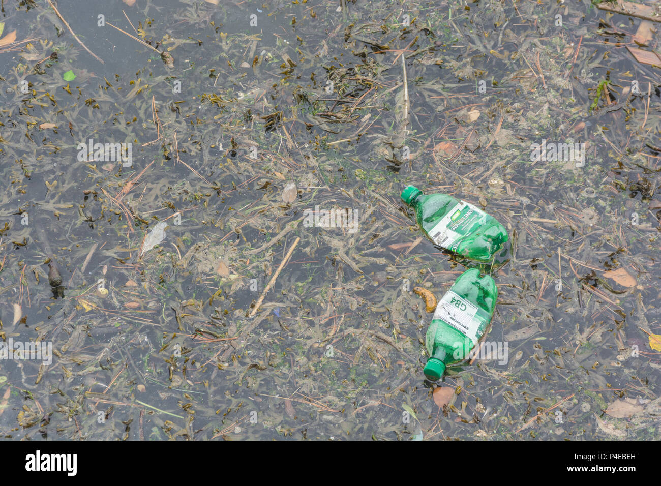 Empty plastic bottles floating in water. Plastic pollution in the river ...
