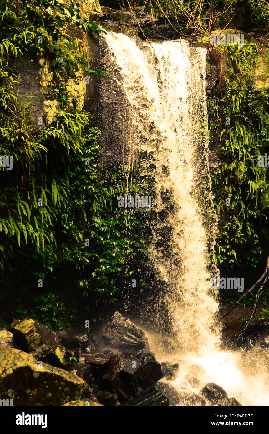 Mount tamborine waterfall hi-res stock photography and images - Alamy