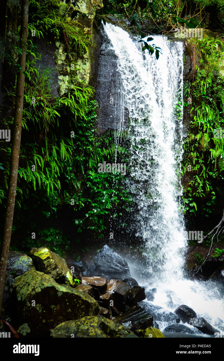 Mount tamborine waterfall hi-res stock photography and images - Alamy