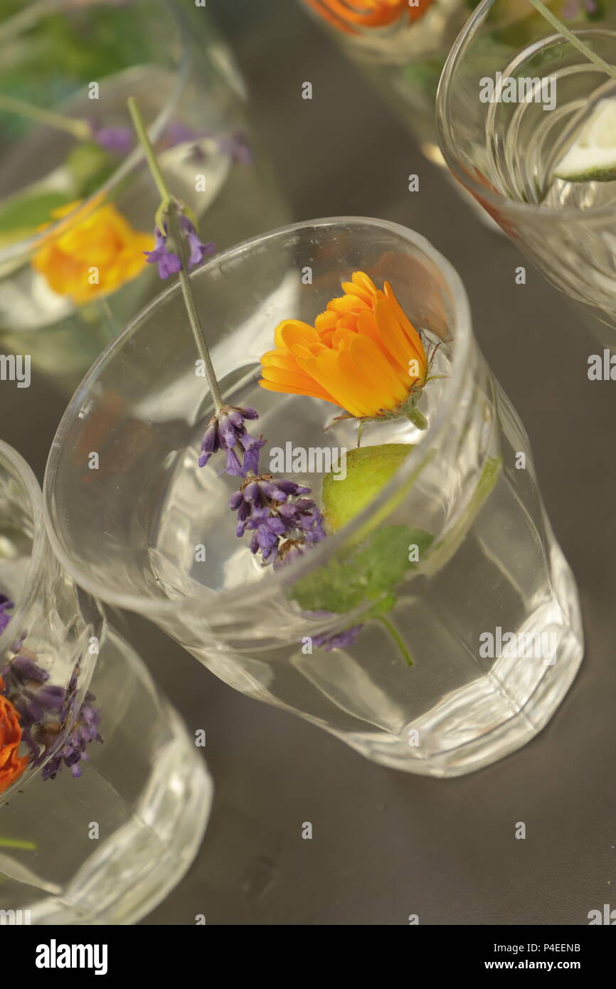 Flower lemonade delicious colorful and healthy Stock Photo - Alamy